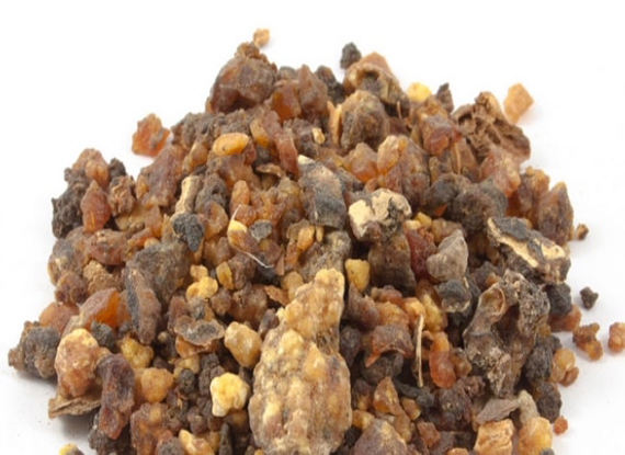 Health Benefits of Guggul Extract - Varion lifesciences private limited